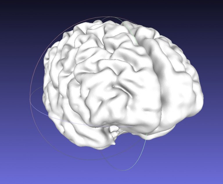 How to make a detailed silicone brain model | SCHMIBEN UNLIMITED