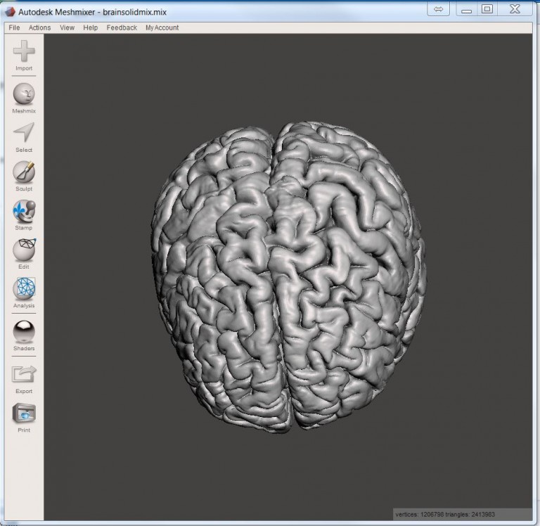 How to make a detailed silicone brain model | SCHMIBEN UNLIMITED