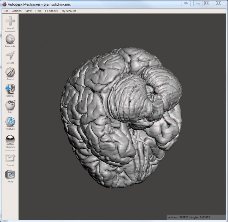 How to make a detailed silicone brain model | SCHMIBEN UNLIMITED